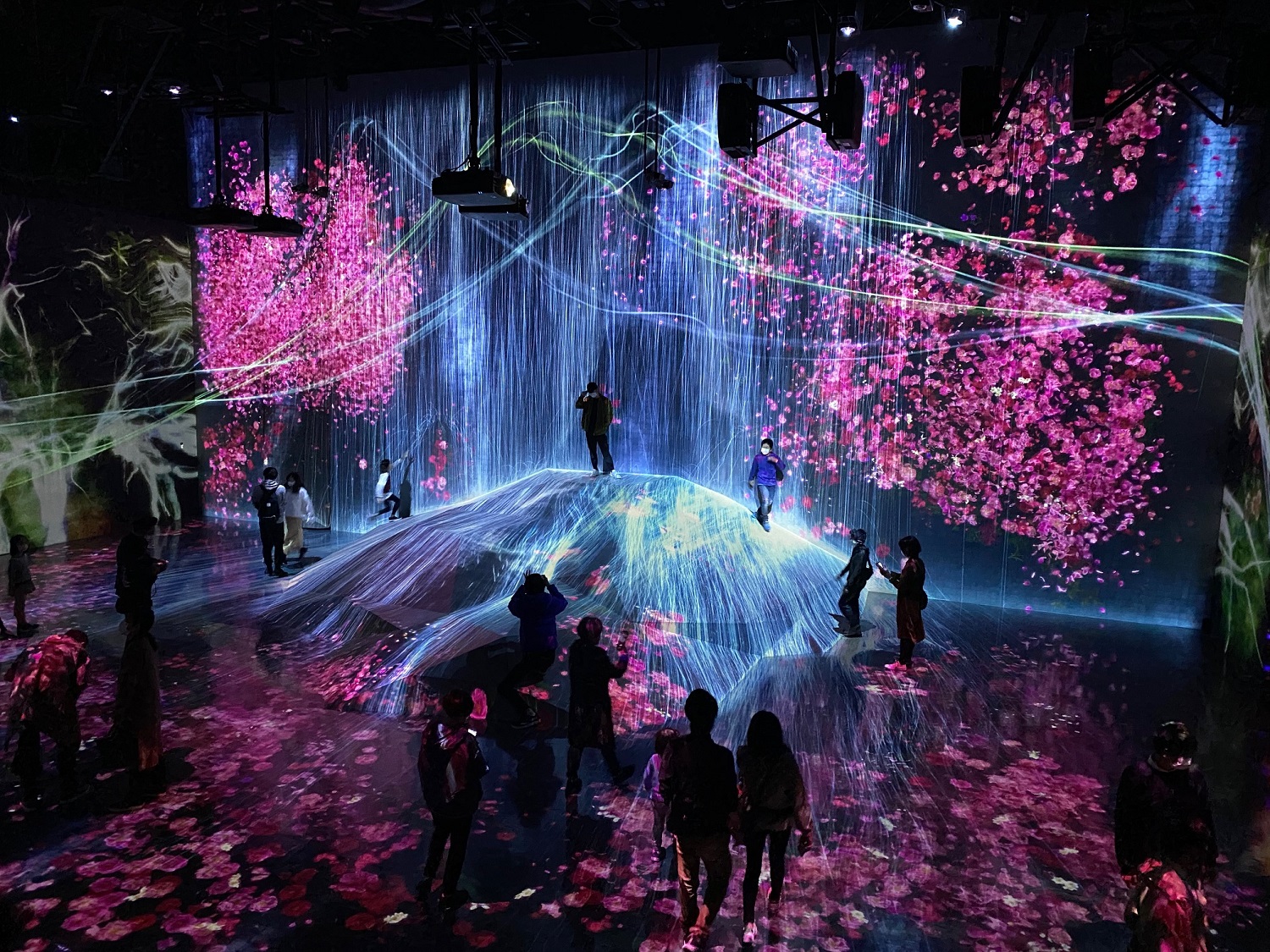 Exhibition teamLab borderless Odaiba | Voyage au Japon