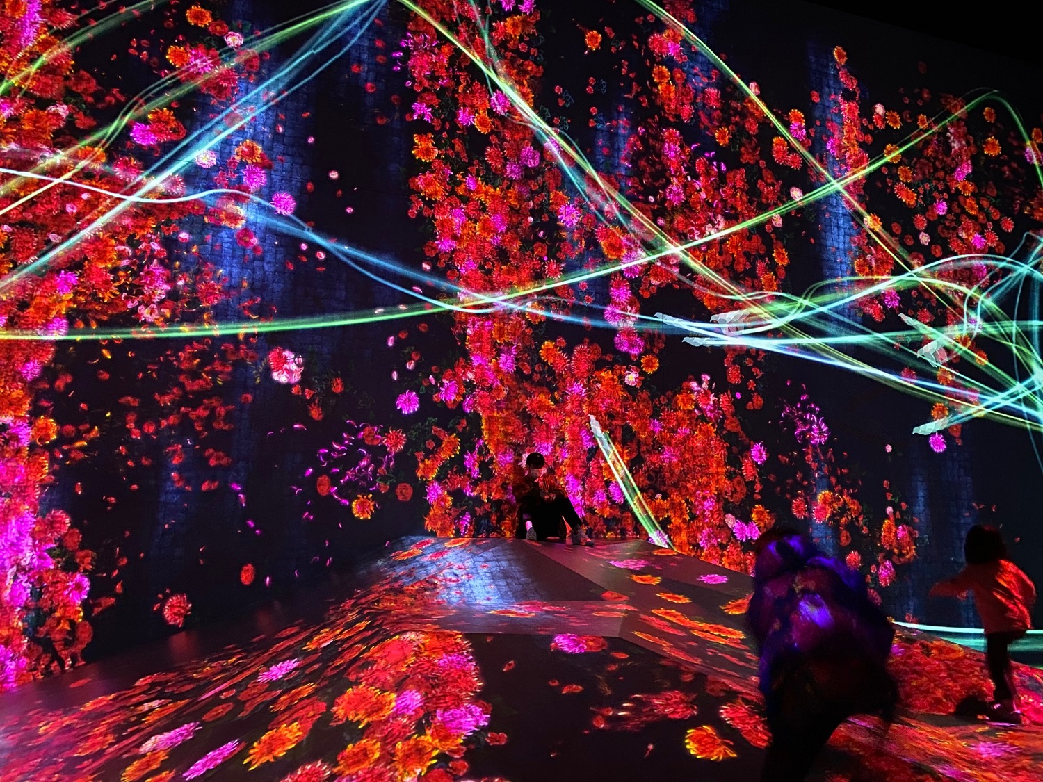Exhibition teamLab borderless Odaiba | Voyage au Japon